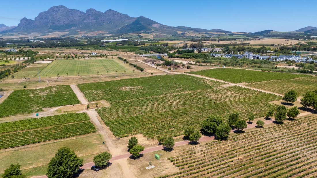 Extraordin In Val De Vie Winelands Lifestyle Estate, Western Cape ...