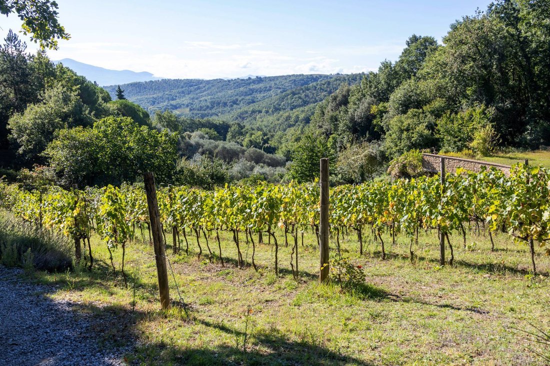 Tenuta Zum Verkauf In In Castelnuovo Dell’abate, Toskana, Italien Zu ...