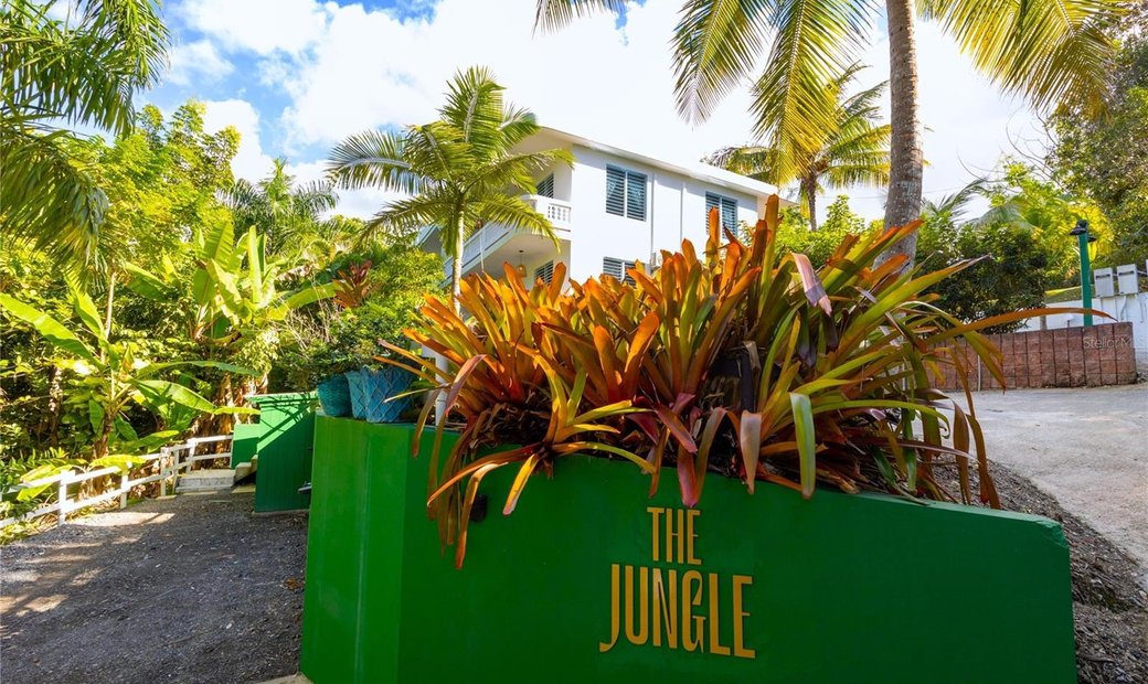 Carr. 413 Int. Km 4 La Jungle, Rincon, Pr 00677 Dans Rincon, Pr, United ...