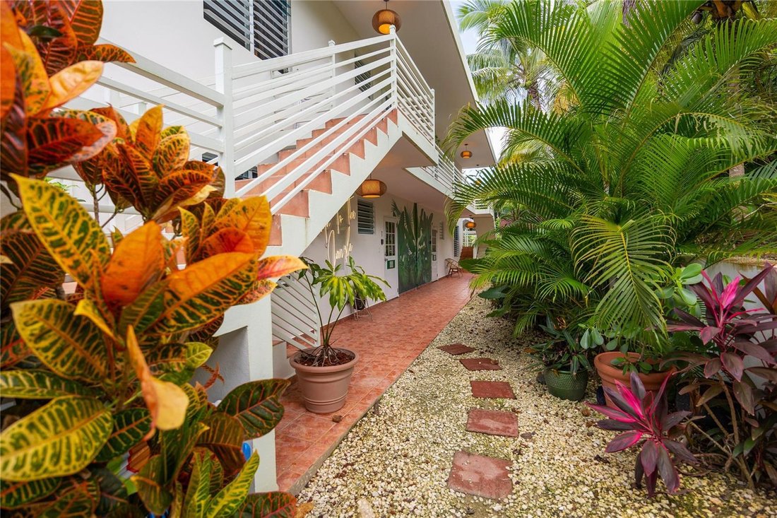 Carr. 413 Int. Km 4 La Jungle, Rincon, Pr 00677 Dans Rincon, Pr, United ...