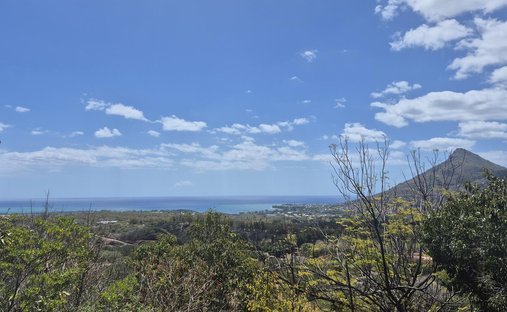 Listings by Blue Zebra Realty - Rivière Noire | JamesEdition