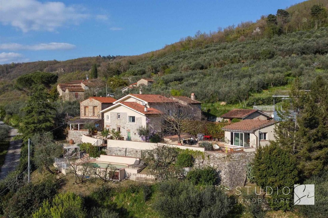 Elegant Tuscan Farmhouse With Garden, Olive Grove, Guest In Tuscany ...