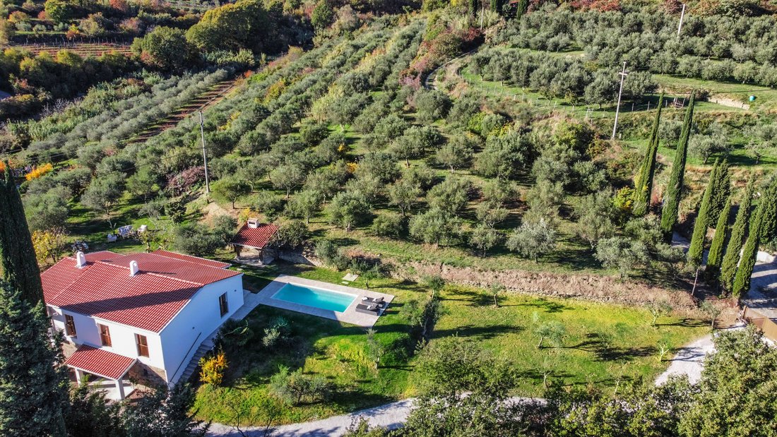 Mediterranean Luxury Villa With Pool Near Trieste And In Koper, Koper ...