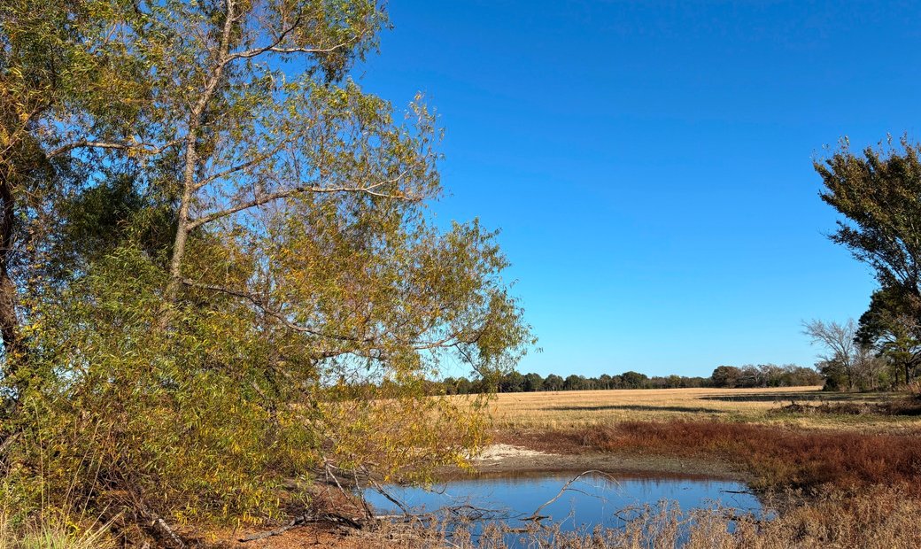 46 Acres Ranch Land In North East Texas In Ben Wheeler, Texas, United ...