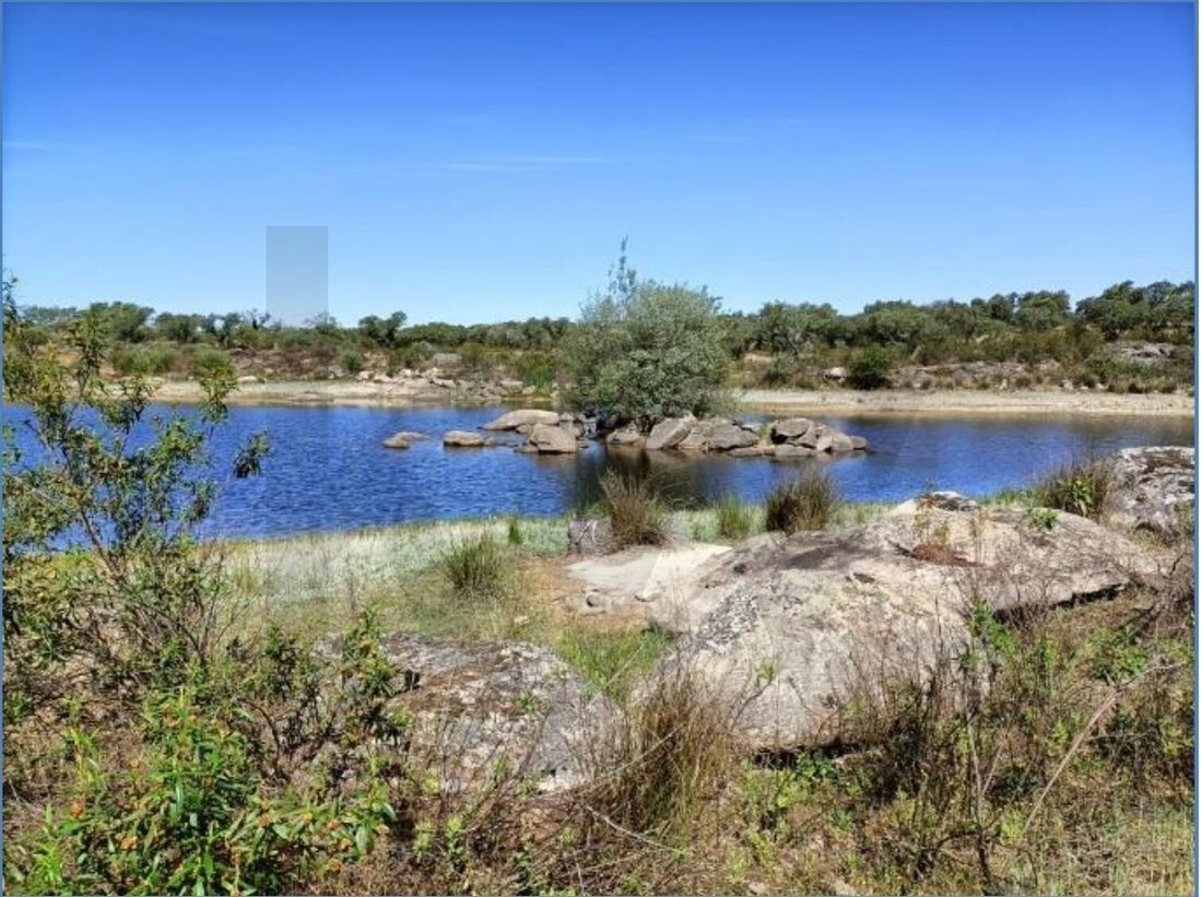 Mora Land In Pavia, évora District, Portugal For Sale (16665987)