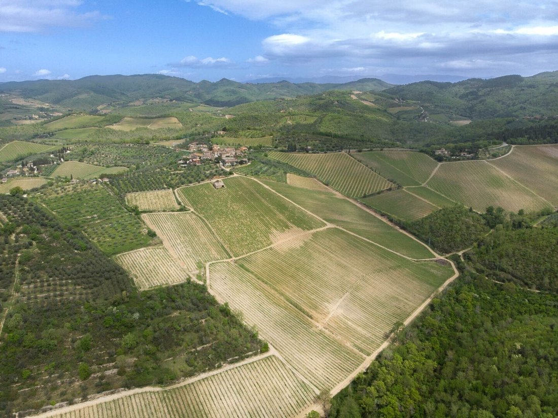 Chianti Classico Vineyards Farm, Gaiole In In Castagnoli, Tuscany ...