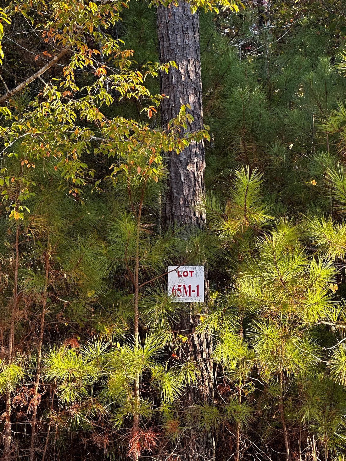 Arbor Springs Luxury New Construction By Dkb Dans Newnan, Géorgie, états Unis à Vendre (16673924)