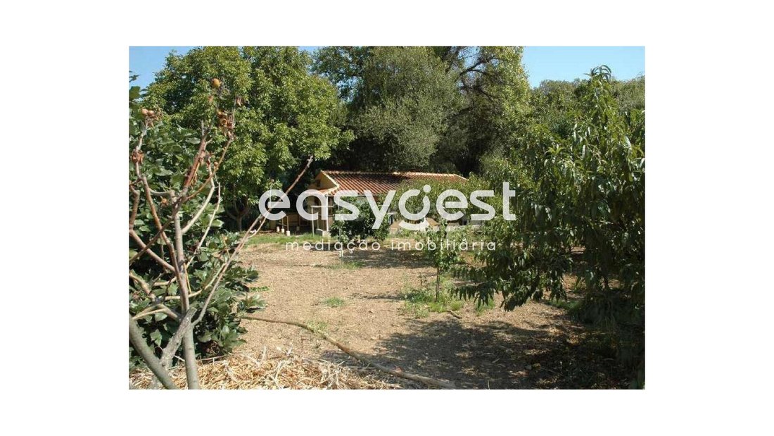 Traditional Farm In Sintra In Colares, Lisbon, Portugal For Sale (16673457)