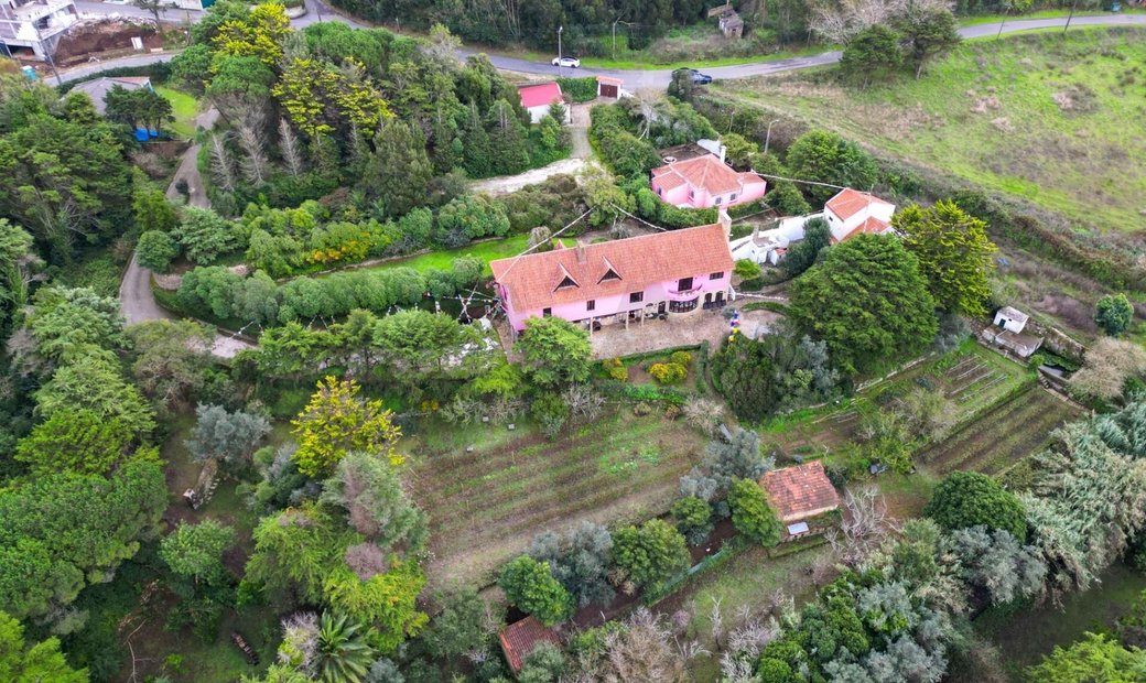 Sintra Farm In Sintra, Lisbon, Portugal For Sale (16676446)