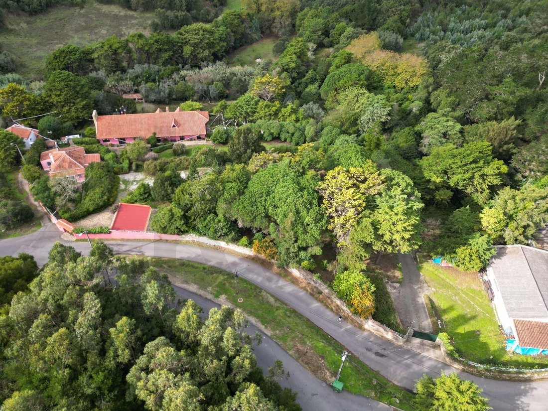 Sintra Farm In Sintra, Lisbon, Portugal For Sale (16676446)