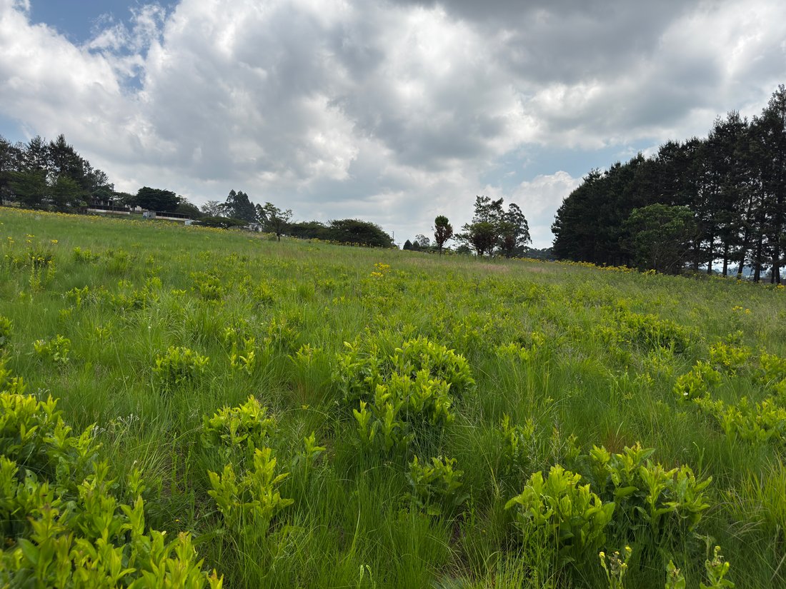 Vacant Land At A Prime Location In Howick, Kwa Zulu Natal, South Africa ...