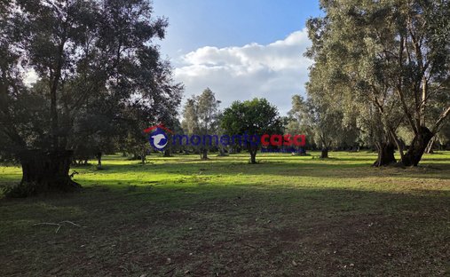Maisons de luxe à vendre à Seminara, Calabre, Italie | JamesEdition