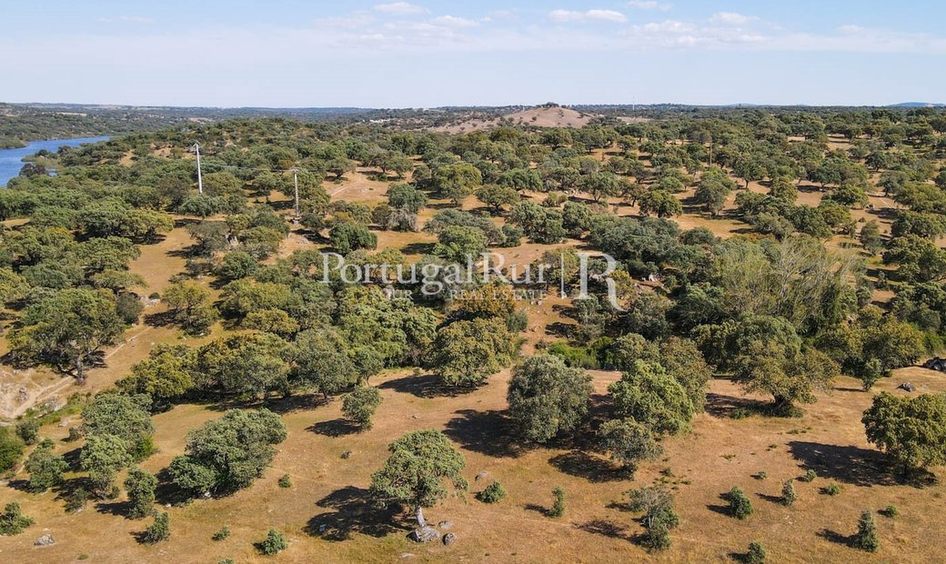 Herdade Do Azinhal With 80 Hectares In Ervedal, Portalegre District ...