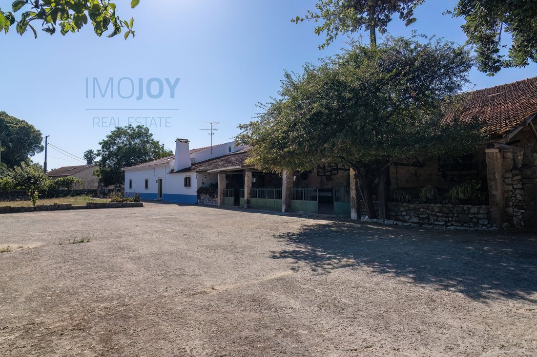 3 Hektar Große Farm Zum Verkauf In In Alcanede, Distrikt Santarém ...