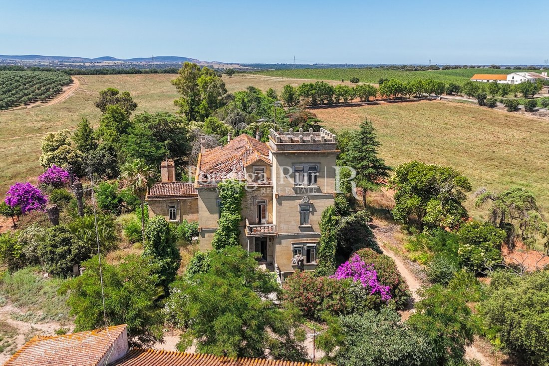Estate With Manor House, Vineyard, And In Sousel, Portalegre District ...