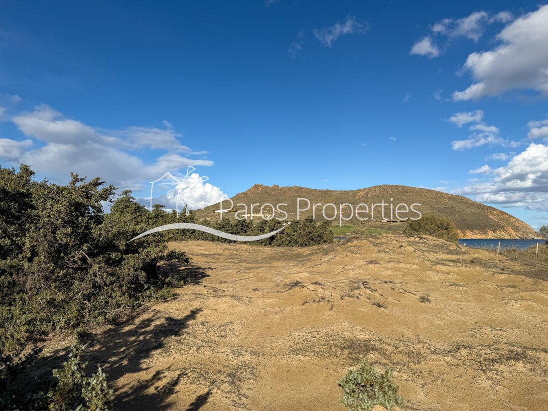 Rare Beachfront Land Parcel With Cedar Forest & Villa In Paros, Aegean ...