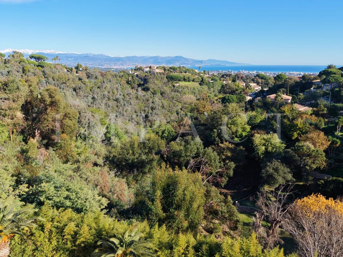 Domaine 2 Hectars 3 Villas + In Cannes, Provence Alpes Côte D'azur ...