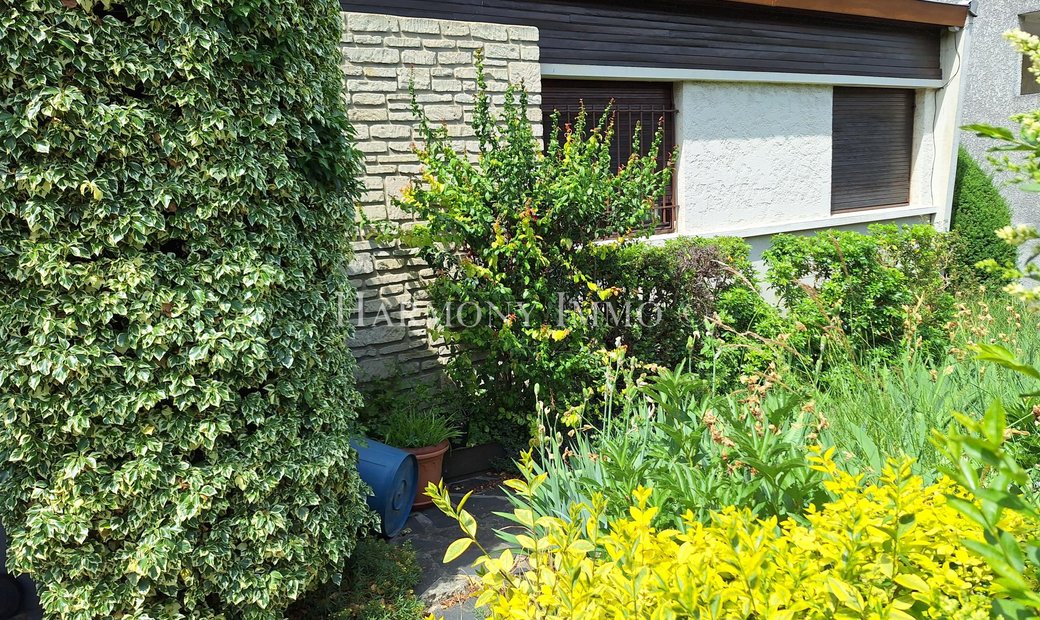 Rare In Antony En Antony, Isla De Francia, Francia En Venta (16748938)