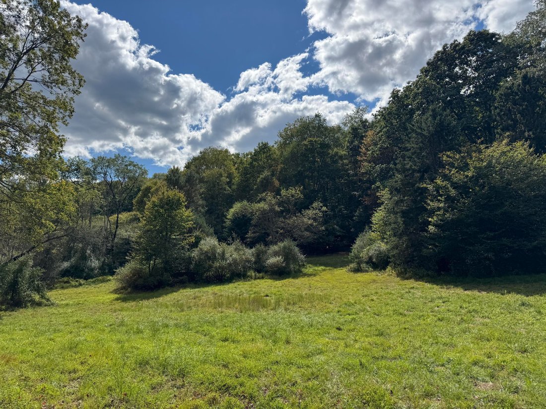 Lots And Land Emporium In Saint Marys, Pennsylvania, United States For ...