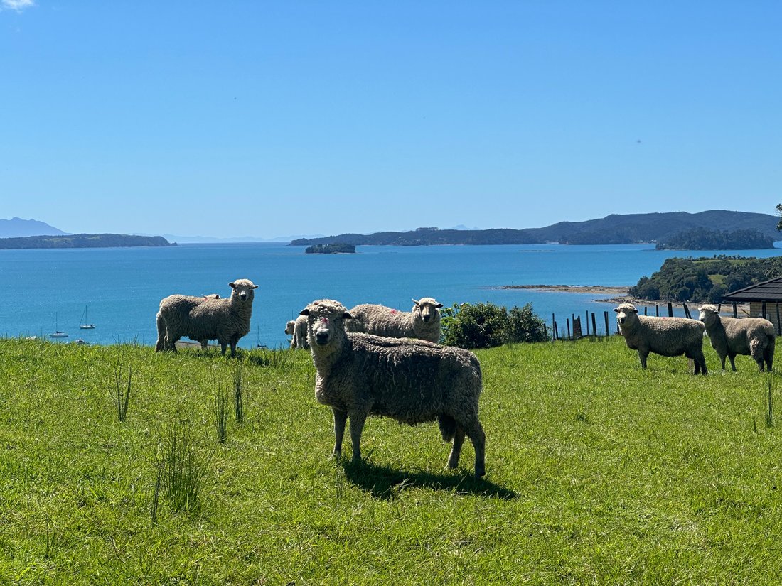 599 Mahurangi East Road, Algies Bay In Algies Bay, Auckland, New ...