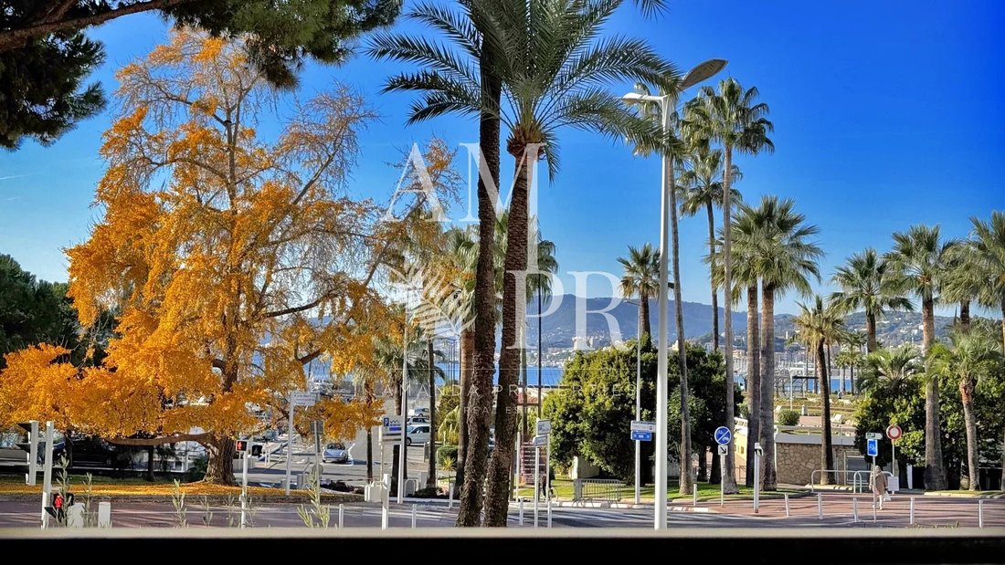 Exclusive Amanda Properties – In Cannes, Provence Alpes Côte D'azur ...