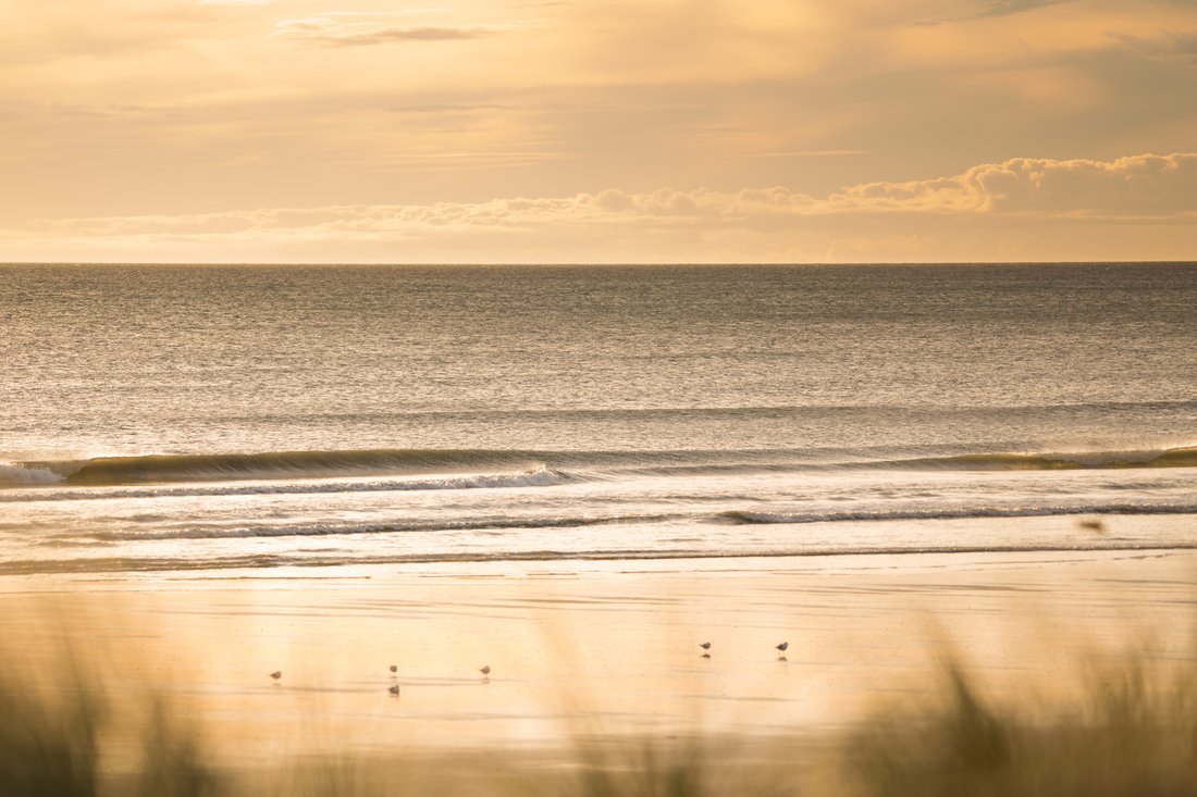 22 A Marine Parade, Foxton In Foxton Beach, Manawatu Wanganui, New ...