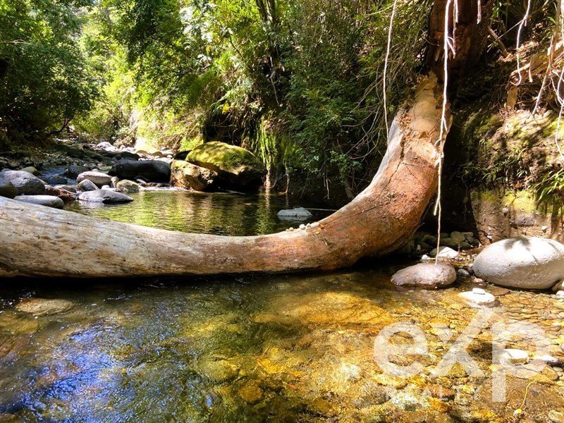 Standort Zum Verkauf In El Radal Siete Tazas In Curicó, Maule, Chile Zu ...