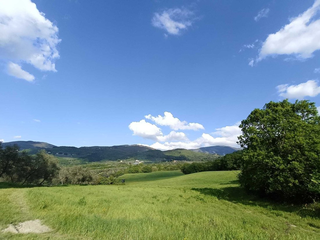 Weiler Inmitten Von Weinbergen Und In Rufina, Toskana, Italien Zu ...