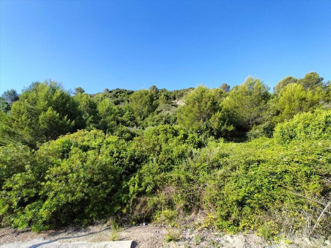 Residential Land For Sale In Doña Julia Casares In Casares, Andalusia ...