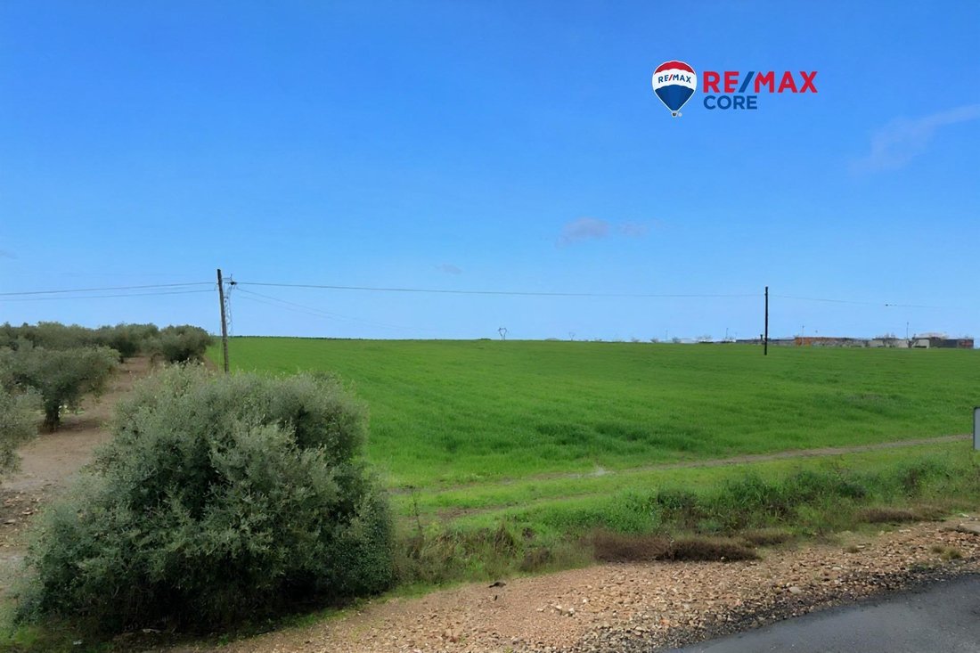 Mérida Country Land Dans Mérida, Estrémadure, Espagne à Vendre (16850700)