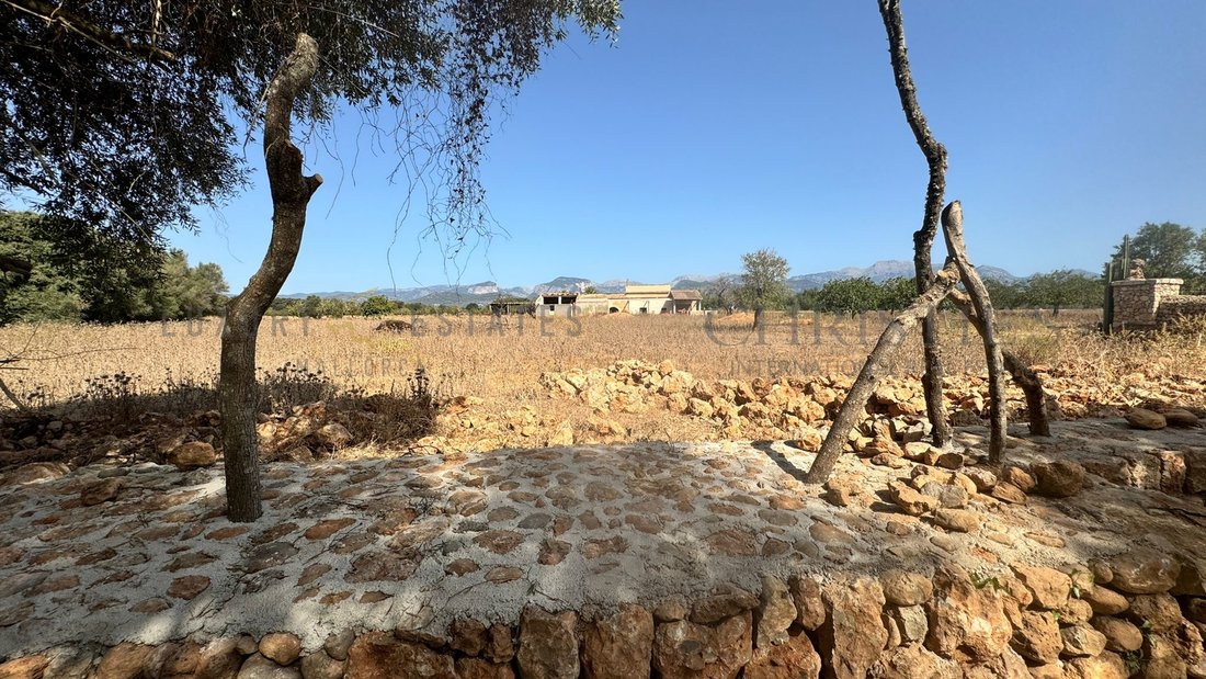 Large Plot With Project For Finca In In Binissalem, Balearic Islands ...