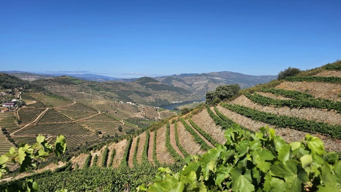 20 Hectare Farm Views Over The In Ervedosa Do Douro, Viseu, Portugal Zu ...