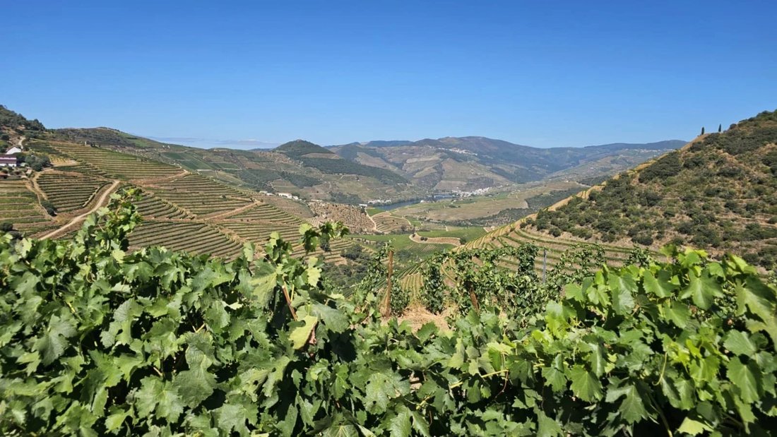 20 Hectare Farm Views Over The In Ervedosa Do Douro, Viseu, Portugal Zu ...