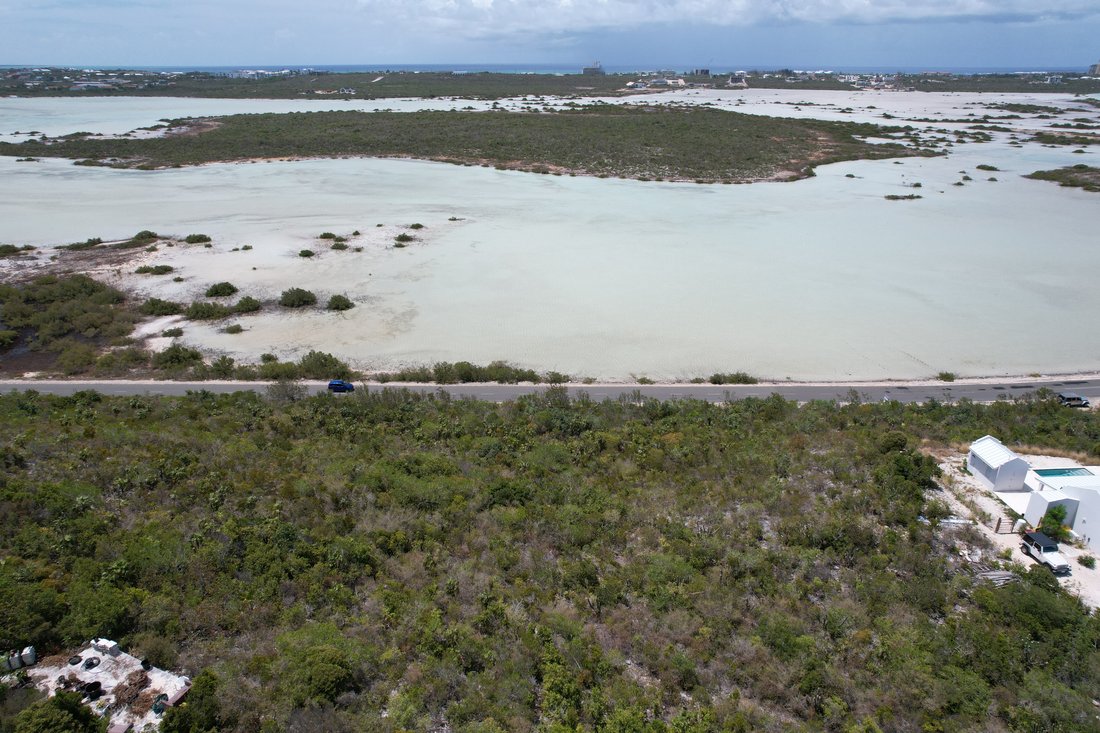 Turtle Tail En Venetian Road Settlement, Caicos Islands, Islas Turcas Y ...