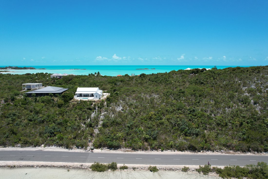 Turtle Tail En Venetian Road Settlement, Caicos Islands, Islas Turcas Y ...