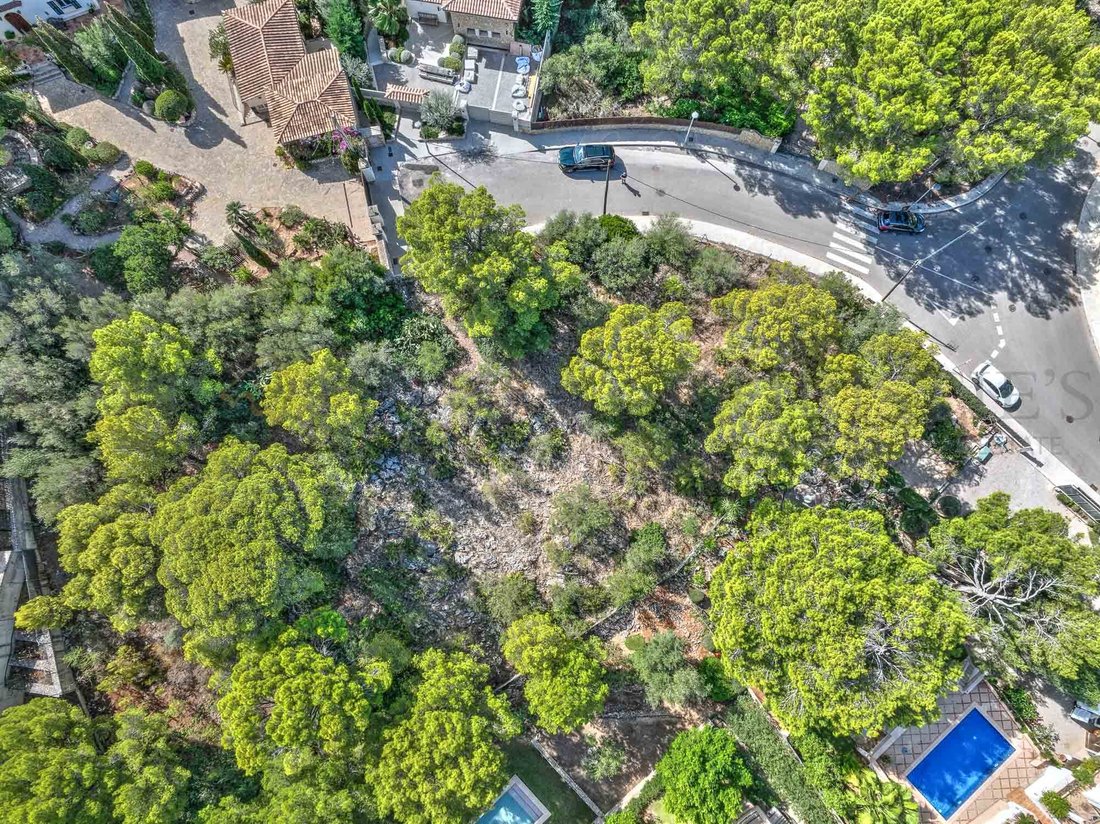 Double Plot With Building Permit In Camp De In Calvia, Balearic Islands ...