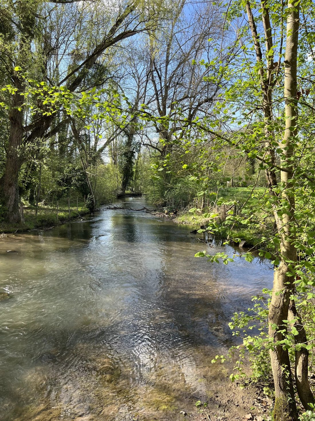 Propriété équestre à 10 Minutes De Dans Fontainebleau, île De France ...