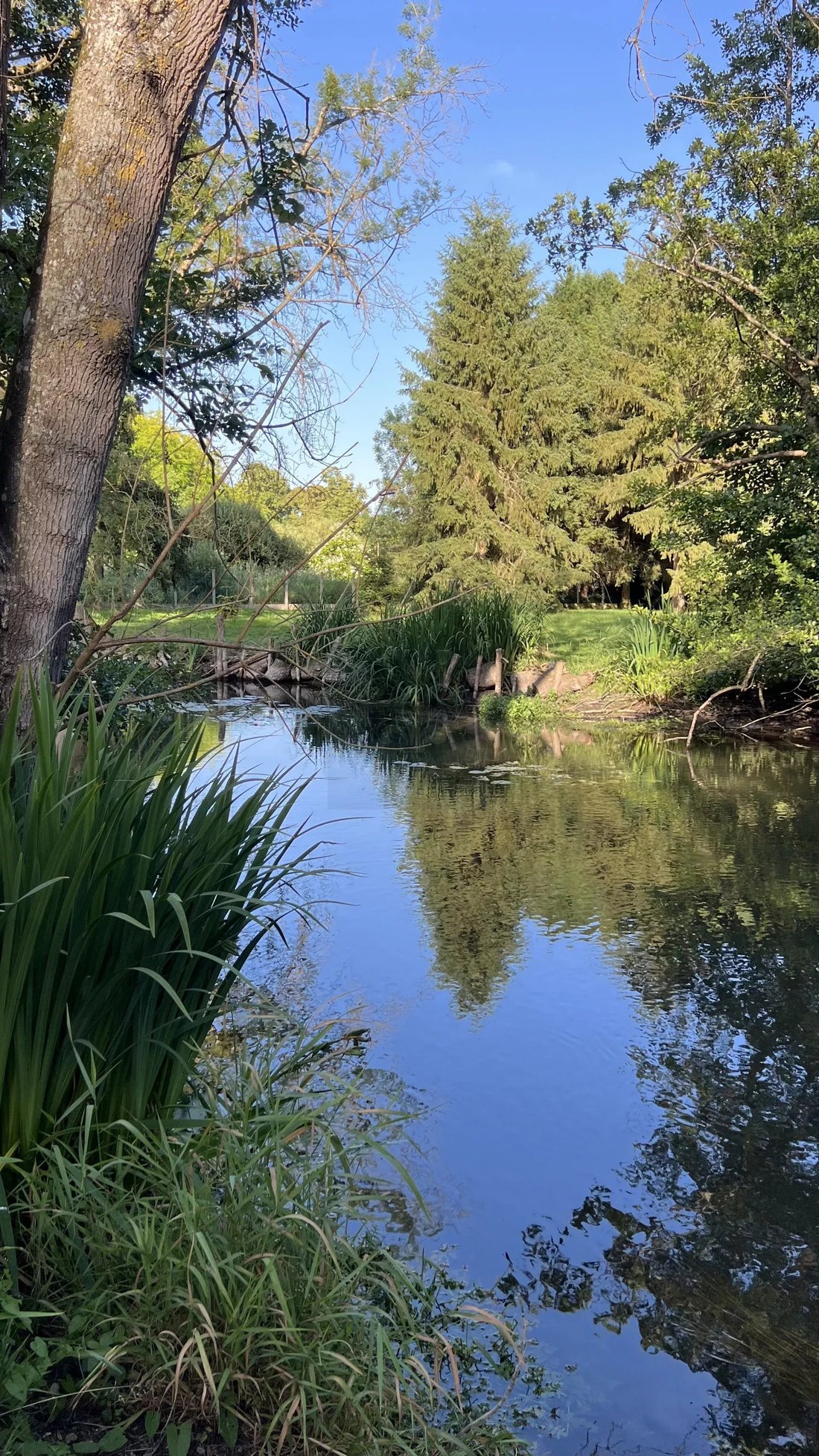 Mühle Aus Dem 19. Jahrhundert In Fontainebleau, île De France ...