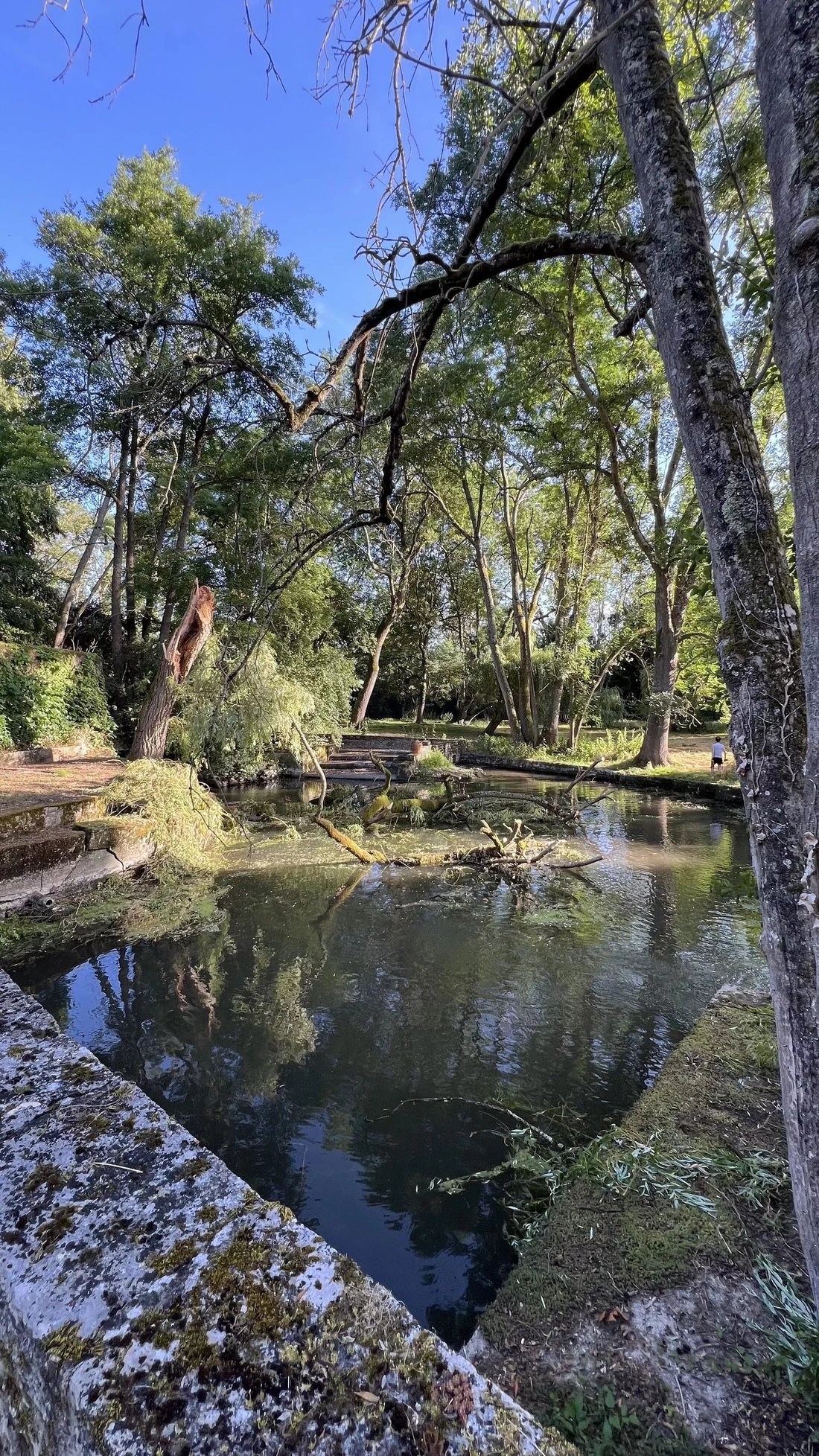 Mühle Aus Dem 19. Jahrhundert In Fontainebleau, île De France ...