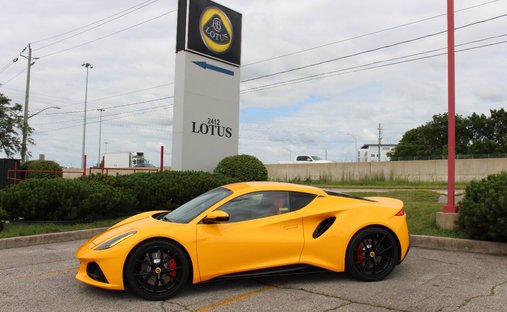 lotus yellow