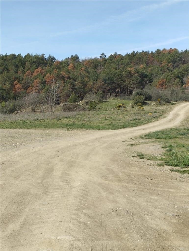 Land Lleida Spain In Montferrer I Castellbo, Catalonia, Spain For Sale ...