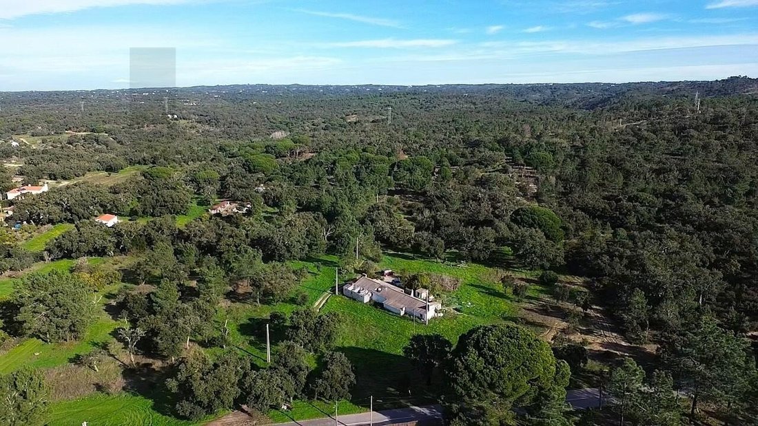 Grândola Farm In Melides, Setubal, Portugal For Sale (16883199)