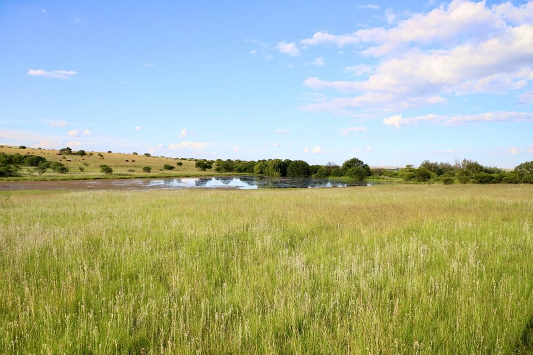 Exceptional Farming Opportunity — In Heilbron, Free State, South Africa ...