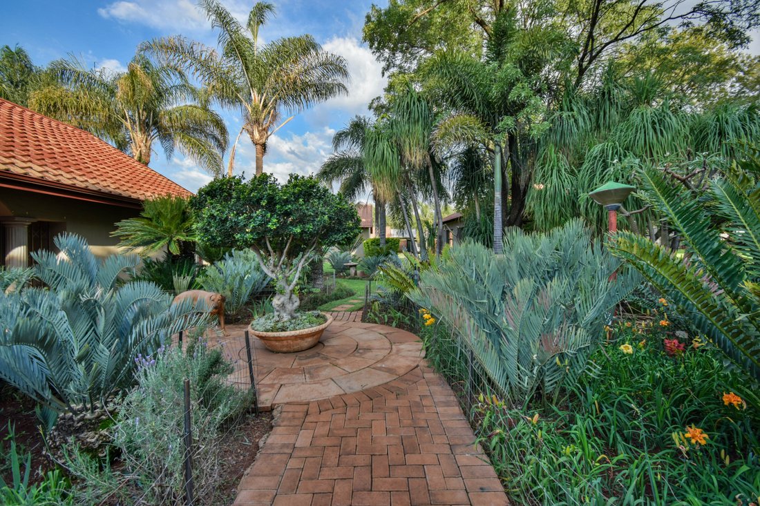 Belle Petite Dans City Of Tshwane Metropolitan Municipality, Afrique Du ...