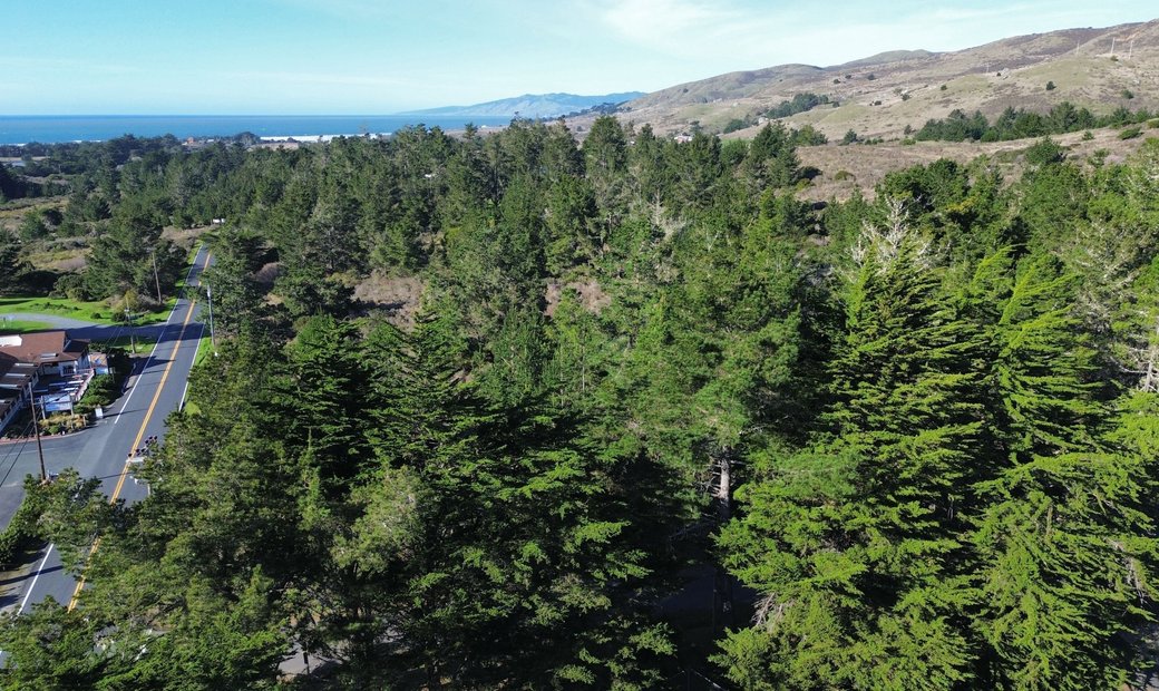 2100 California 1, Bodega Bay, Ca In Bodega Bay, California, United ...