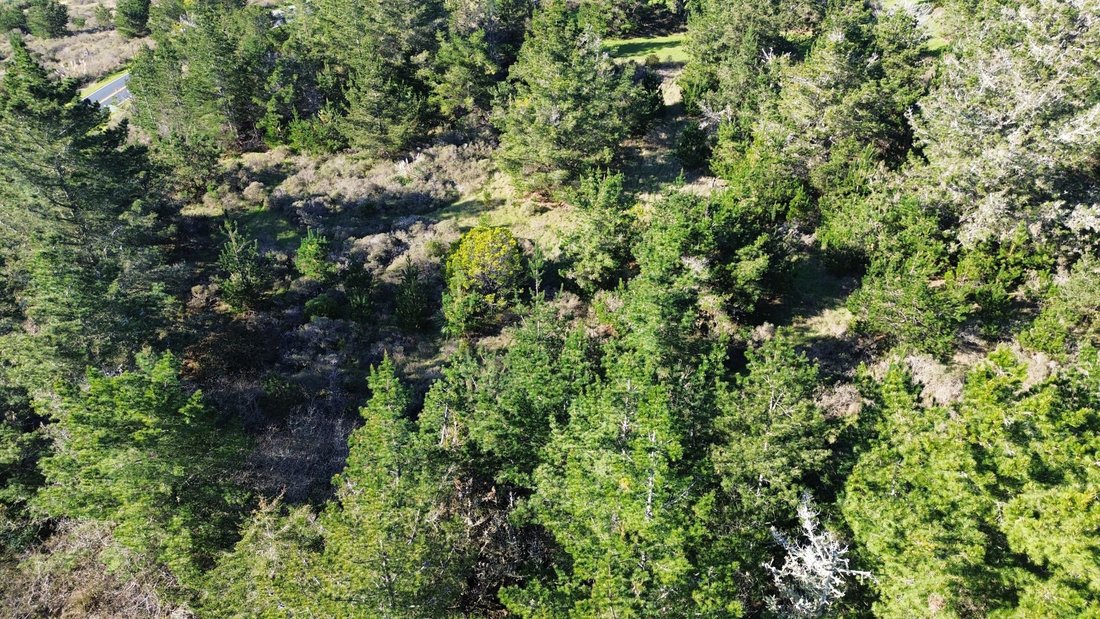 2100 California 1, Bodega Bay, Ca 94923 Dans Bodega Bay, Californie ...