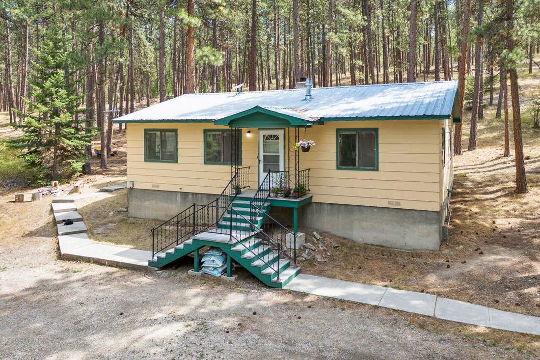 Vivre Dans Les Arbres En Montagne Dans Hamilton, Montana, états Unis à ...