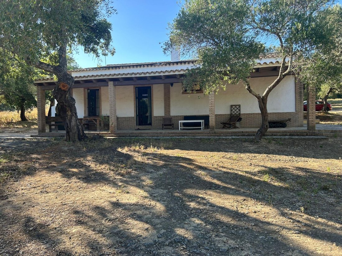 Finca Rústica Venta Cádiz In Spain For Sale (16915177)