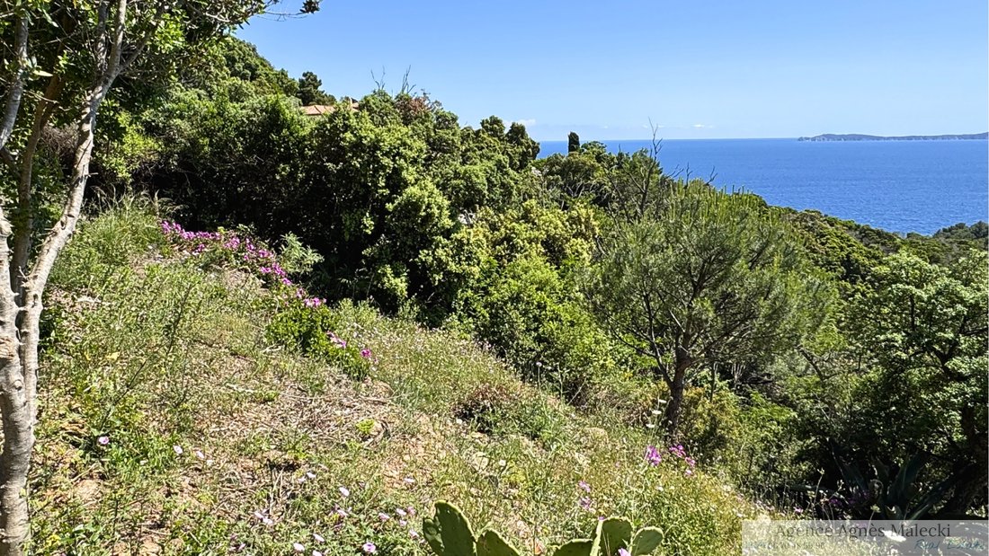 Rayol Canadel Full In Rayol Canadel Sur Mer, Provence Alpes Côte D'azur ...