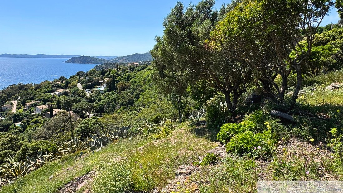 Rayol Canadel Full In Rayol Canadel Sur Mer, Provence Alpes Côte D'azur ...